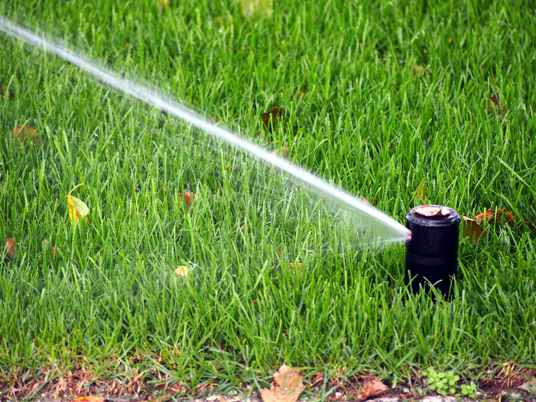 Irrigation Tips For Florida's Driest Season