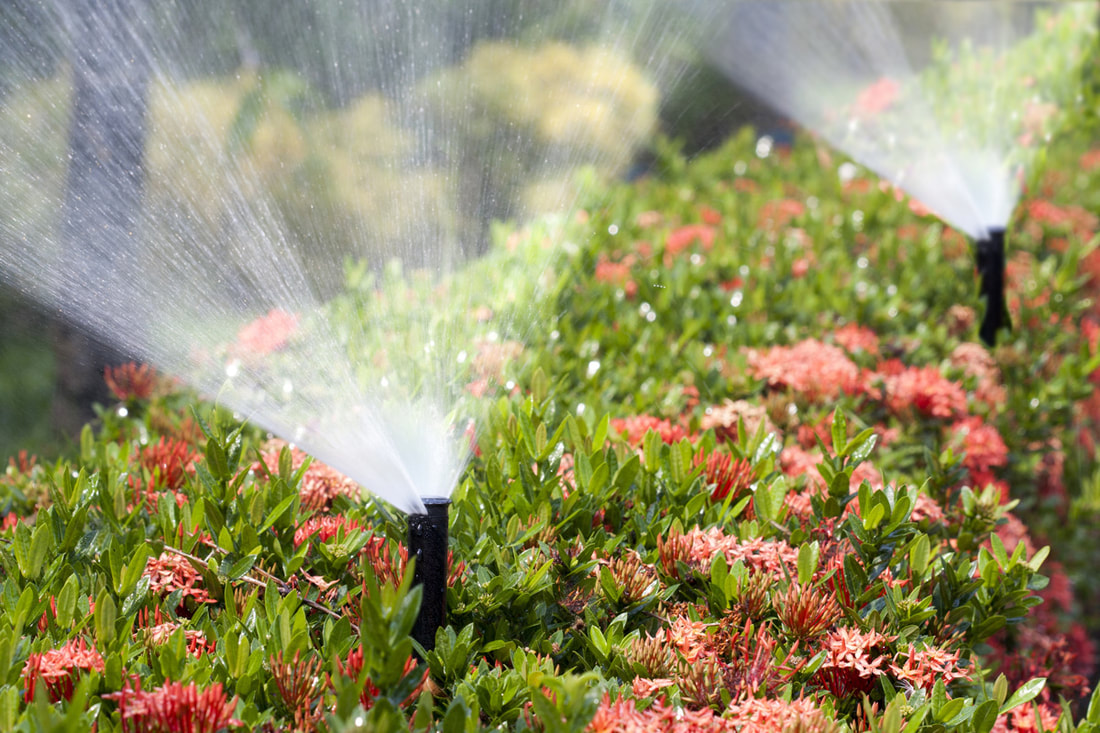 Your Irrigation System Is Causing These Major Problems