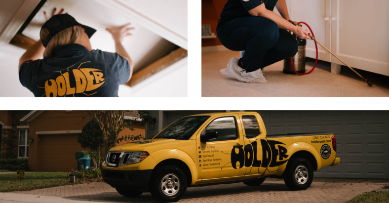 Holder Is Deltona’s Top Pest Control Company