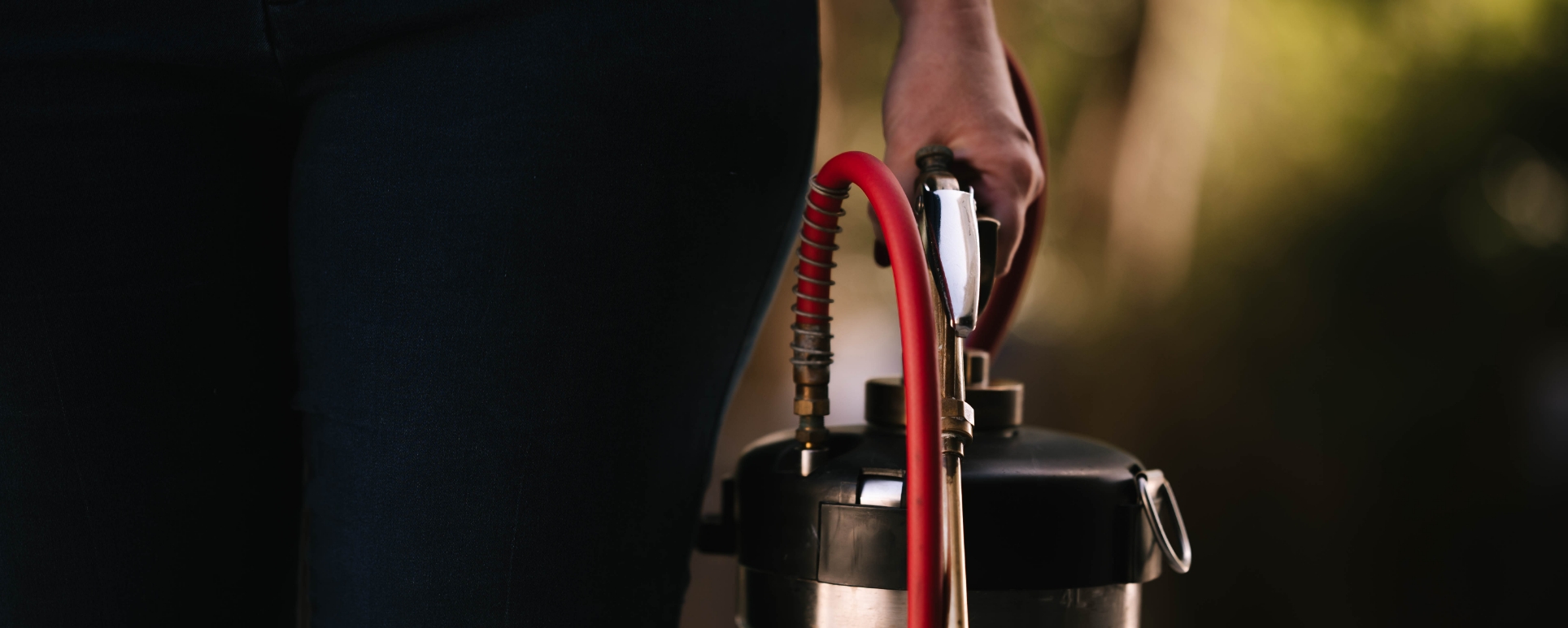 Termite Protection and Treatment for Home and Commercial